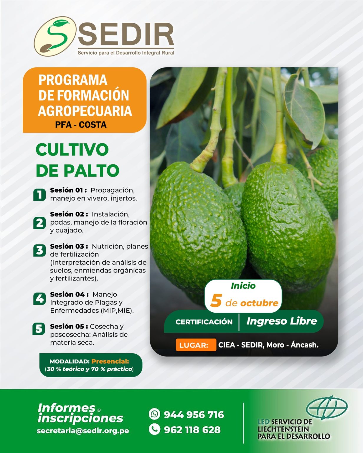 #Evento: Programa de Formación Agropecuaria (Costa) - SEDIR: CULTIVO DE PALTO - Doctor Agro