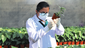 Manejo del Cadmio en suelos agrícolas - Doctor Agro